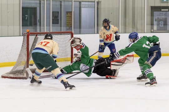 Nomad Hockey League : Powered by GOALLINE